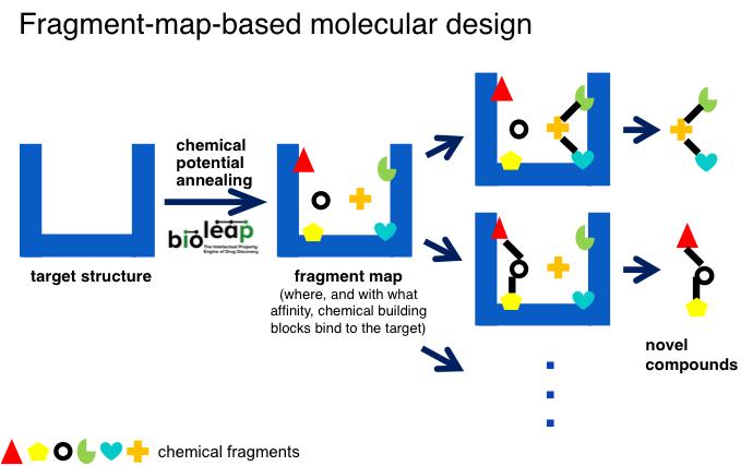 DRUG DESIGN - Fragment-Based Drug Design: Delivering Drugs That Hit Multiple targets, Leveraging ...