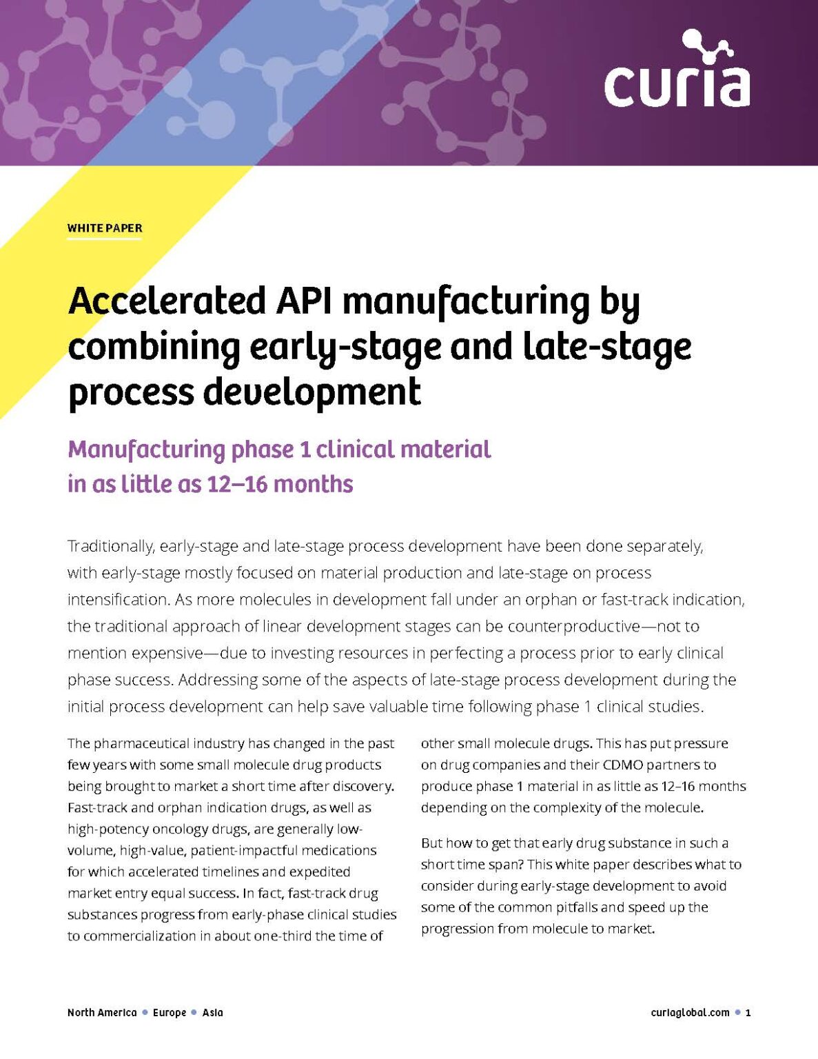 WHITEPAPER - Accelerated API Manufacturing by Combining Early-Stage and ...