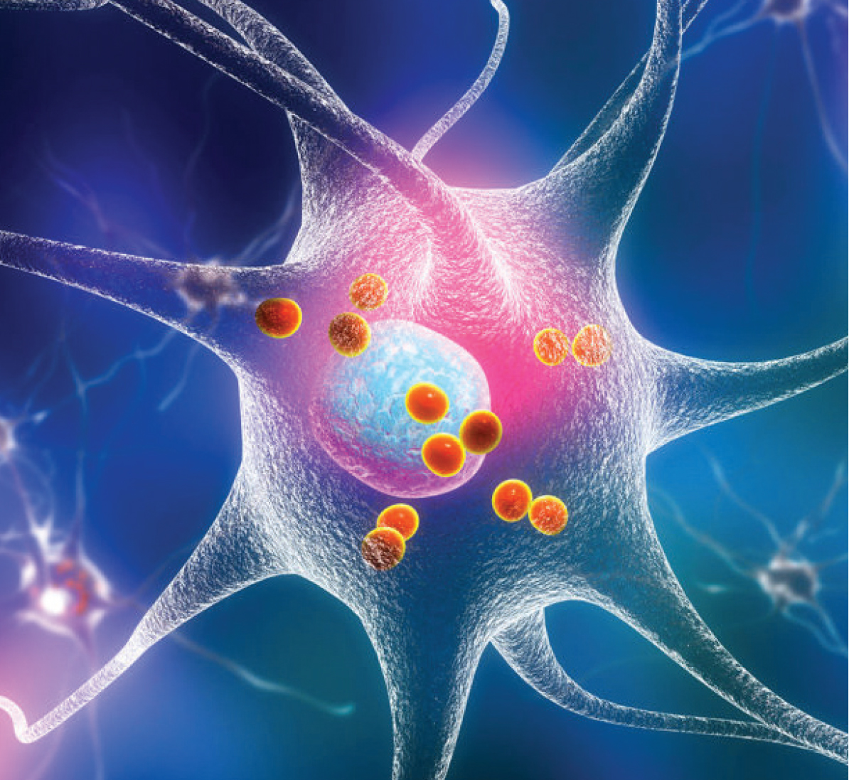 THERAPEUTIC FOCUS - Effect of NE3107 on the Pharmacokinetics Profile of ...