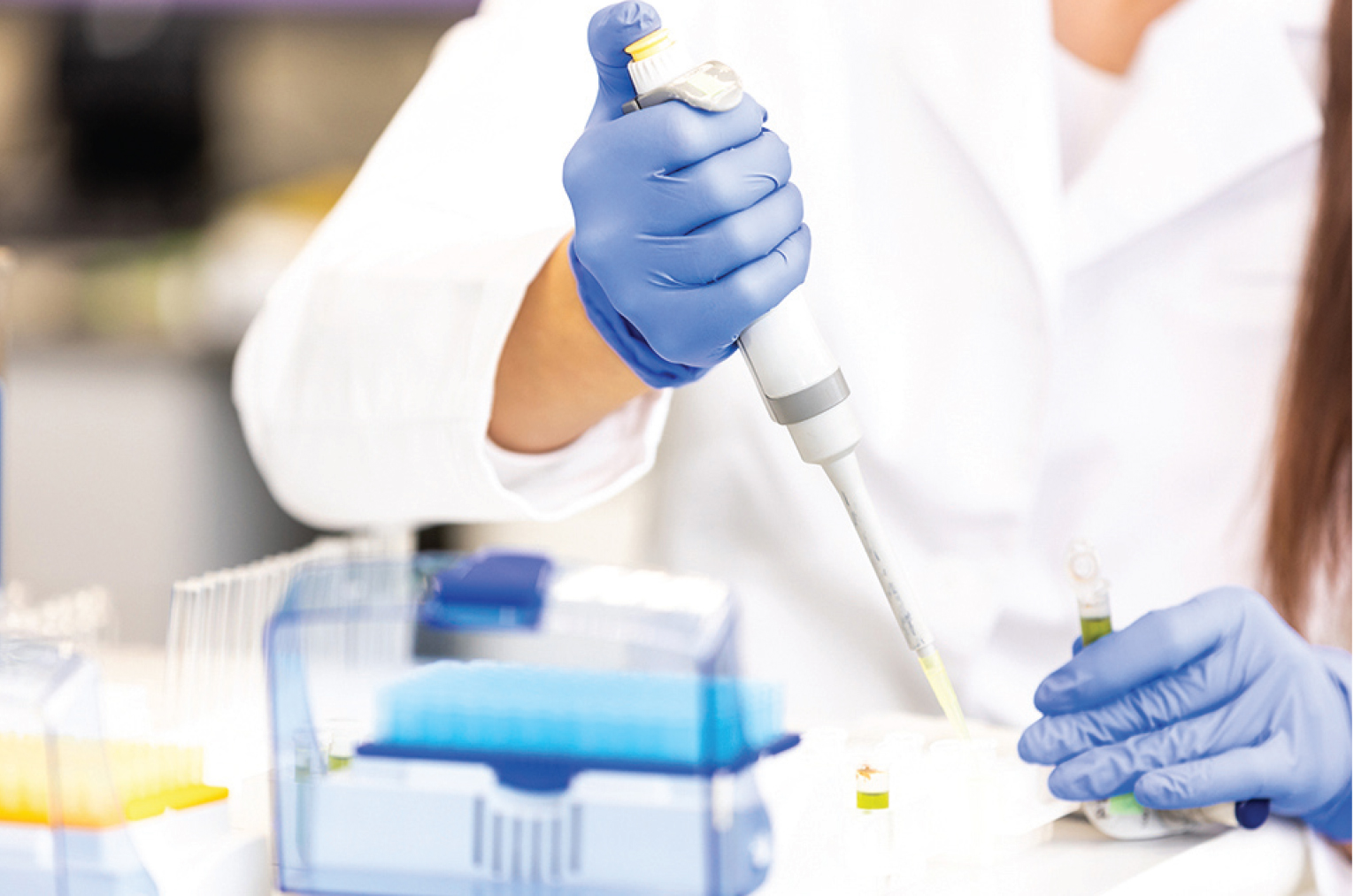 BIOLOGICS DEVELOPMENT - Five Steps to a Robust Cell Line Development ...