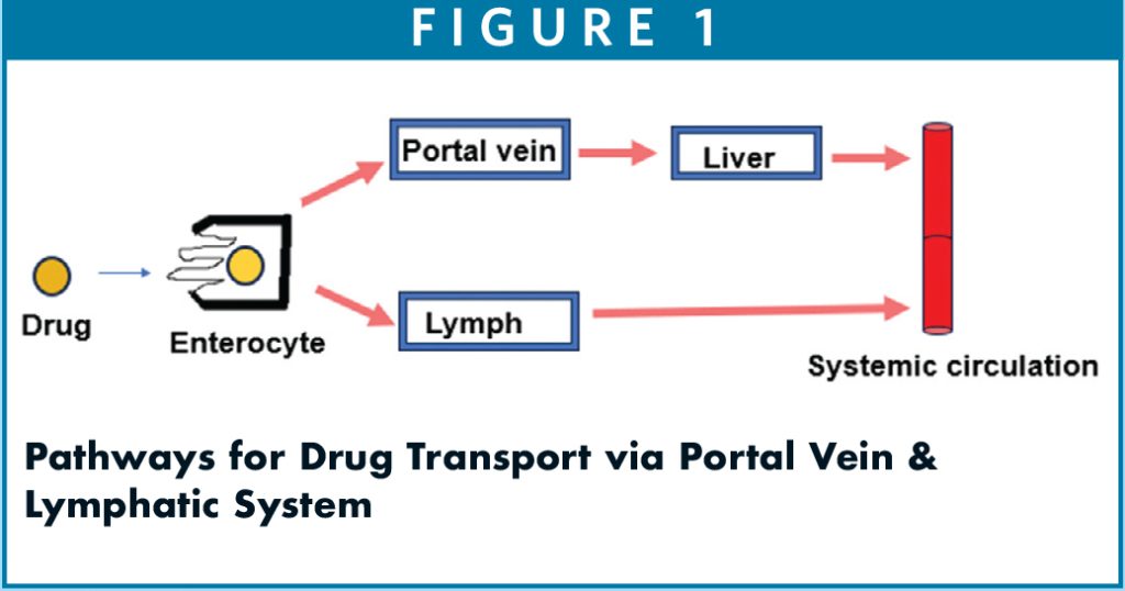 FORMULATION FORUM - Lymphatic versus Portal Drug Delivery: An ...