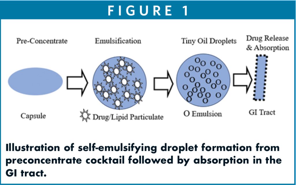 FORMULATION FORUM - Self-Emulsifying Drug Delivery Systems for ...