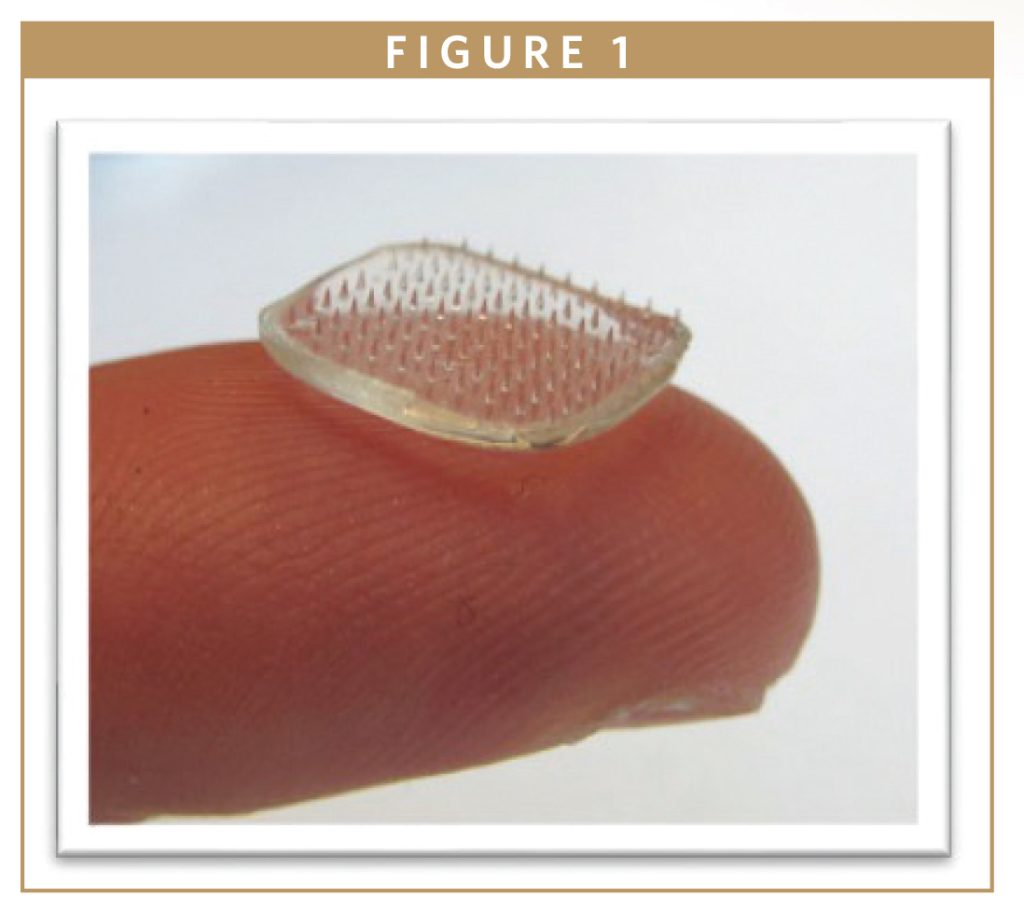 TRANSDERMAL DELIVERY - SkinJect’s Doxorubicin-Loaded Dissolvable ...